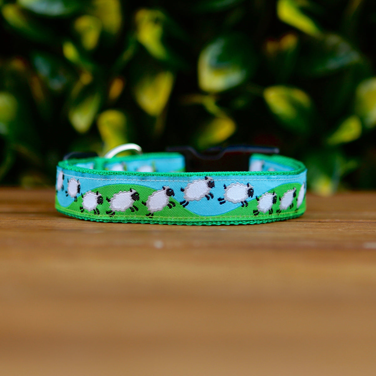 Counting Sheep Dog Collar: XS-L – The Bark Side Dog Collars