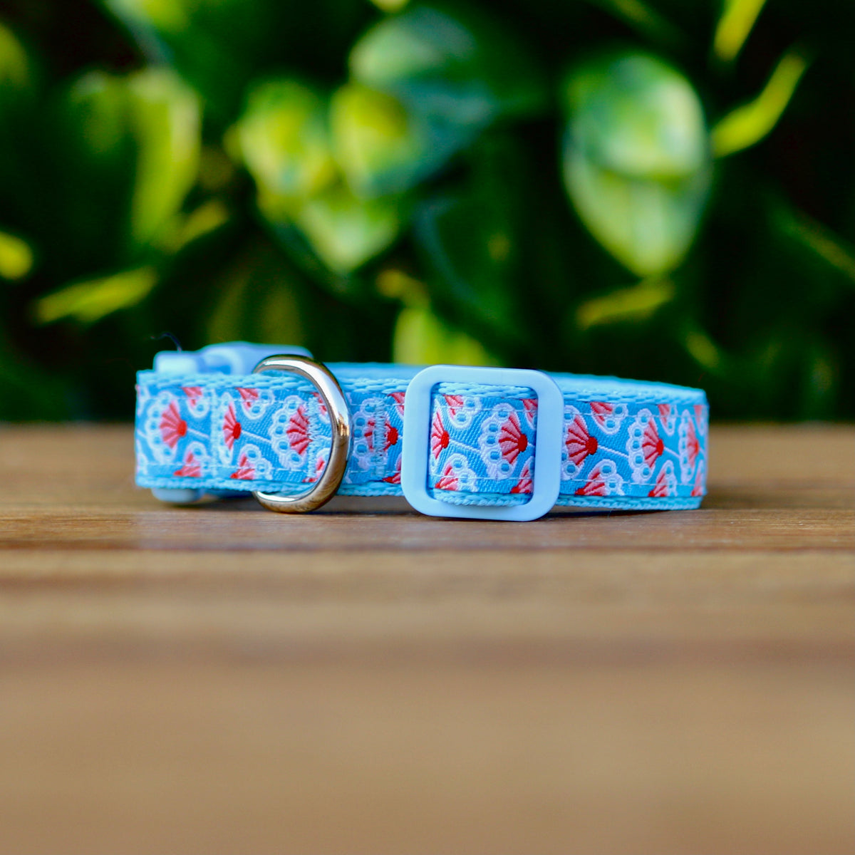 Dandelion Dog Collar: XS-M – The Bark Side Dog Collars