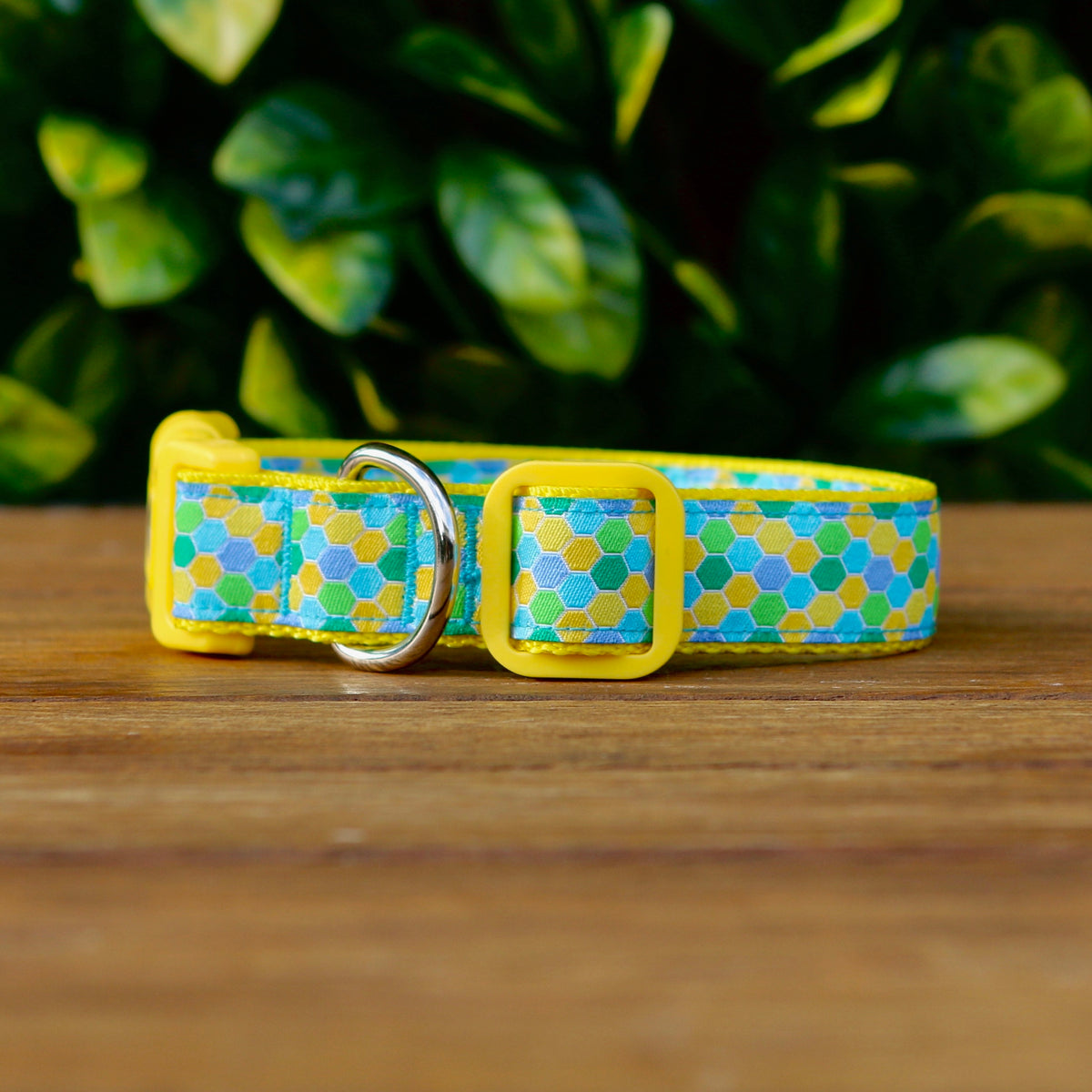 Hexagonal Honeycomb Dog Collar: XS-L – The Bark Side Dog Collars