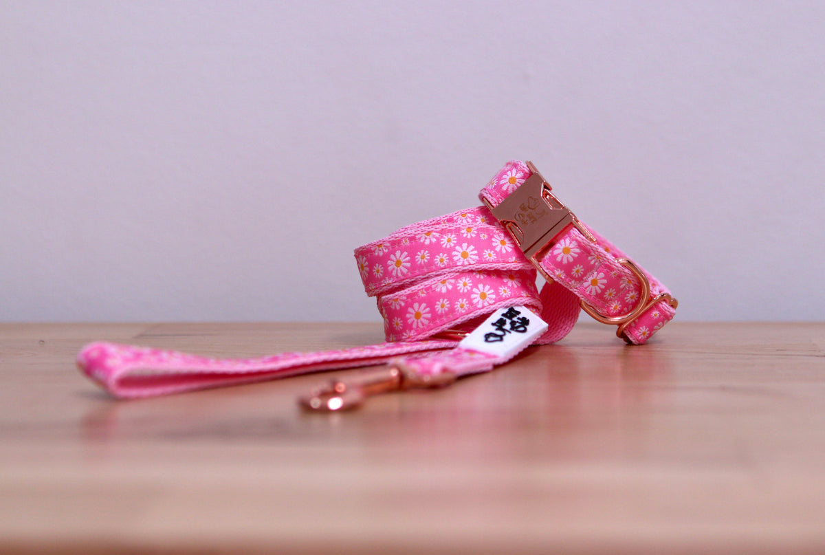 Metal Buckle & Snaphook Upgrade – The Bark Side Dog Collars